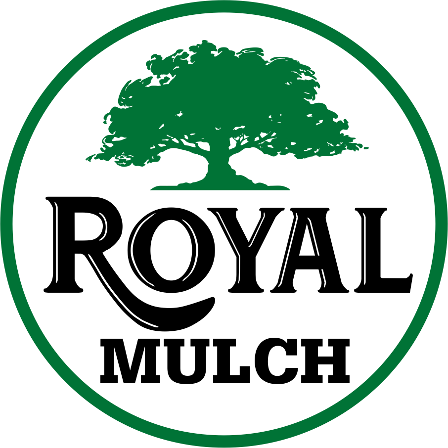 logo-img